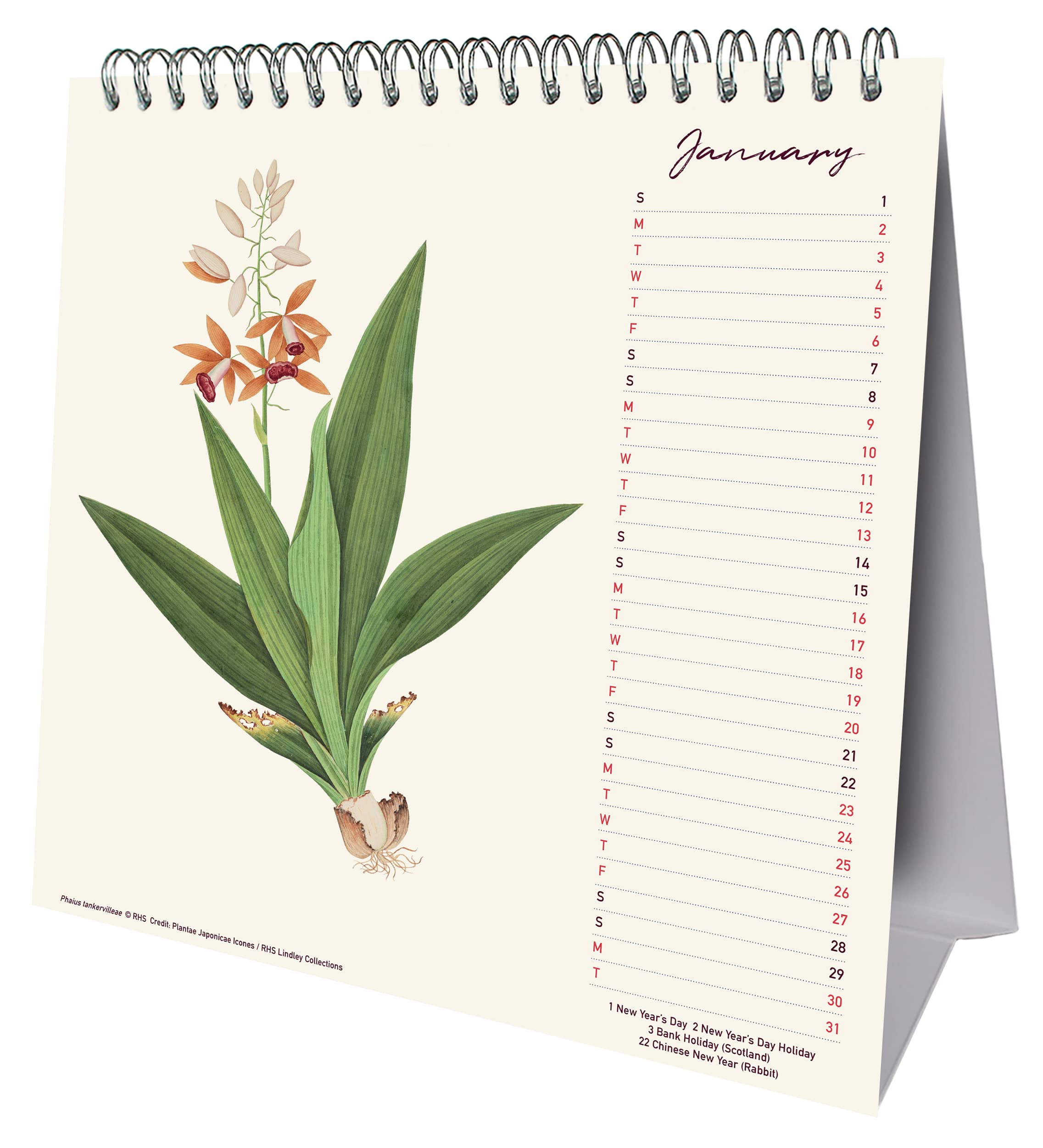 The Royal Horticultural Society - 2023 Desk Easel Calendar ...