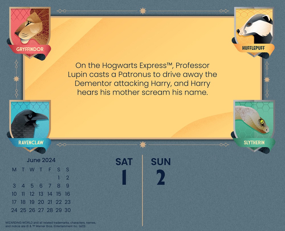 Harry Potter - 2024 Daily Desk Calendar by Danilo Promotions ...