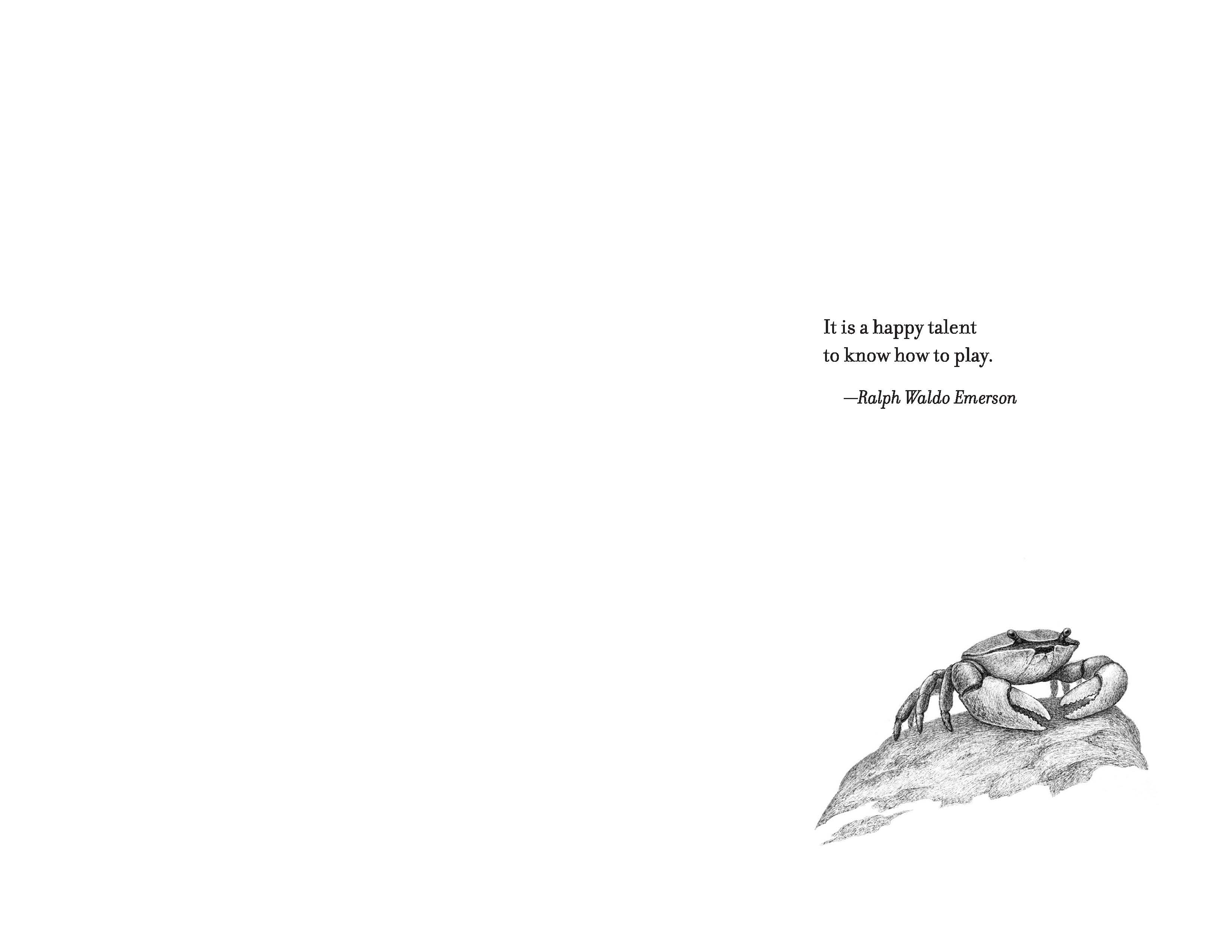 Odder by Katherine Applegate | The New York Times Bestseller ...