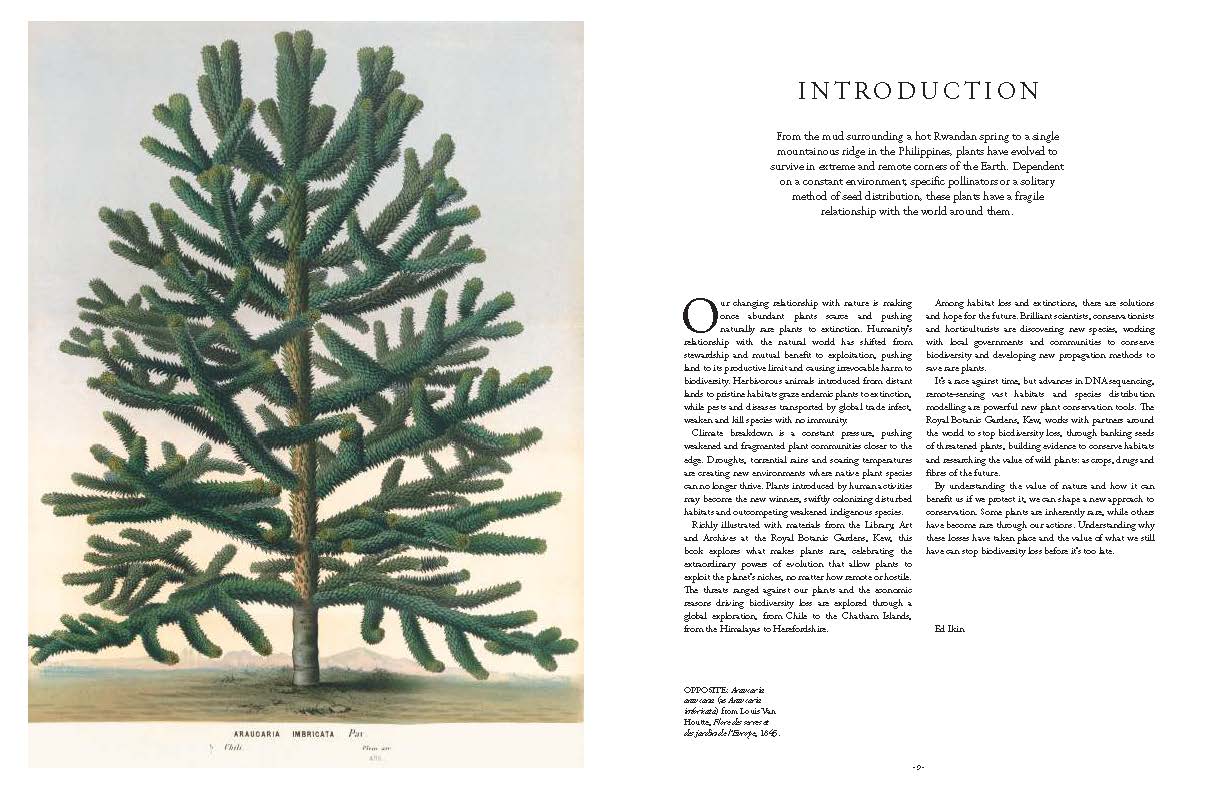 Kew - Rare Plants by Ed Ikin | The world's unusual and endangered ...