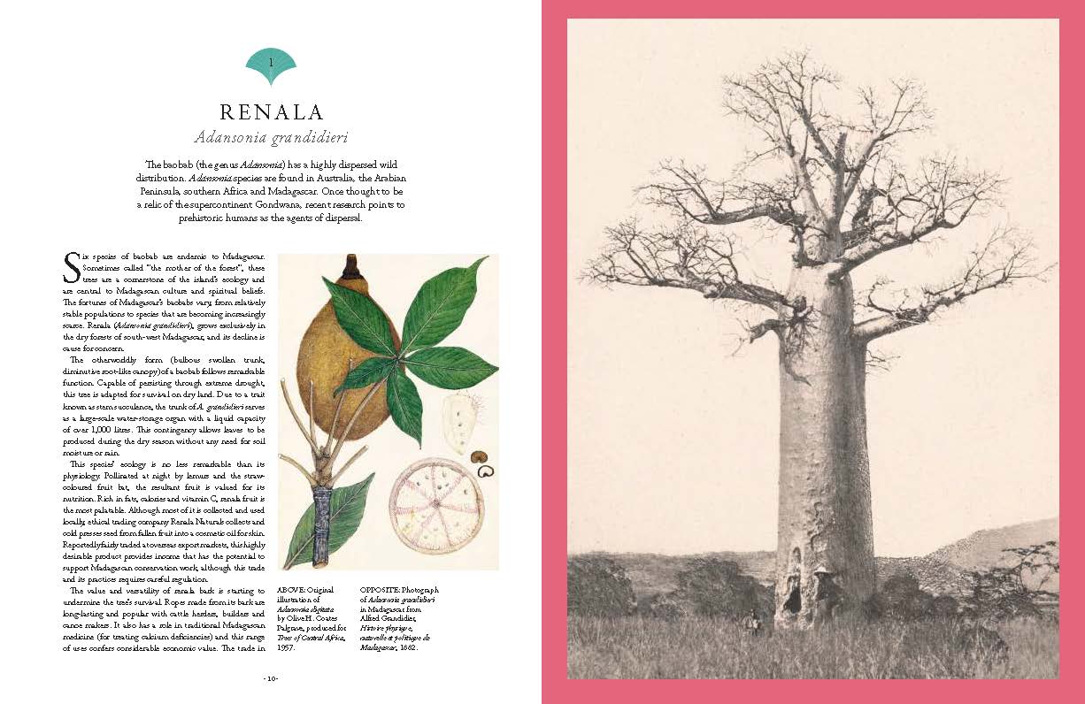 Kew - Rare Plants by Ed Ikin | The world's unusual and endangered ...