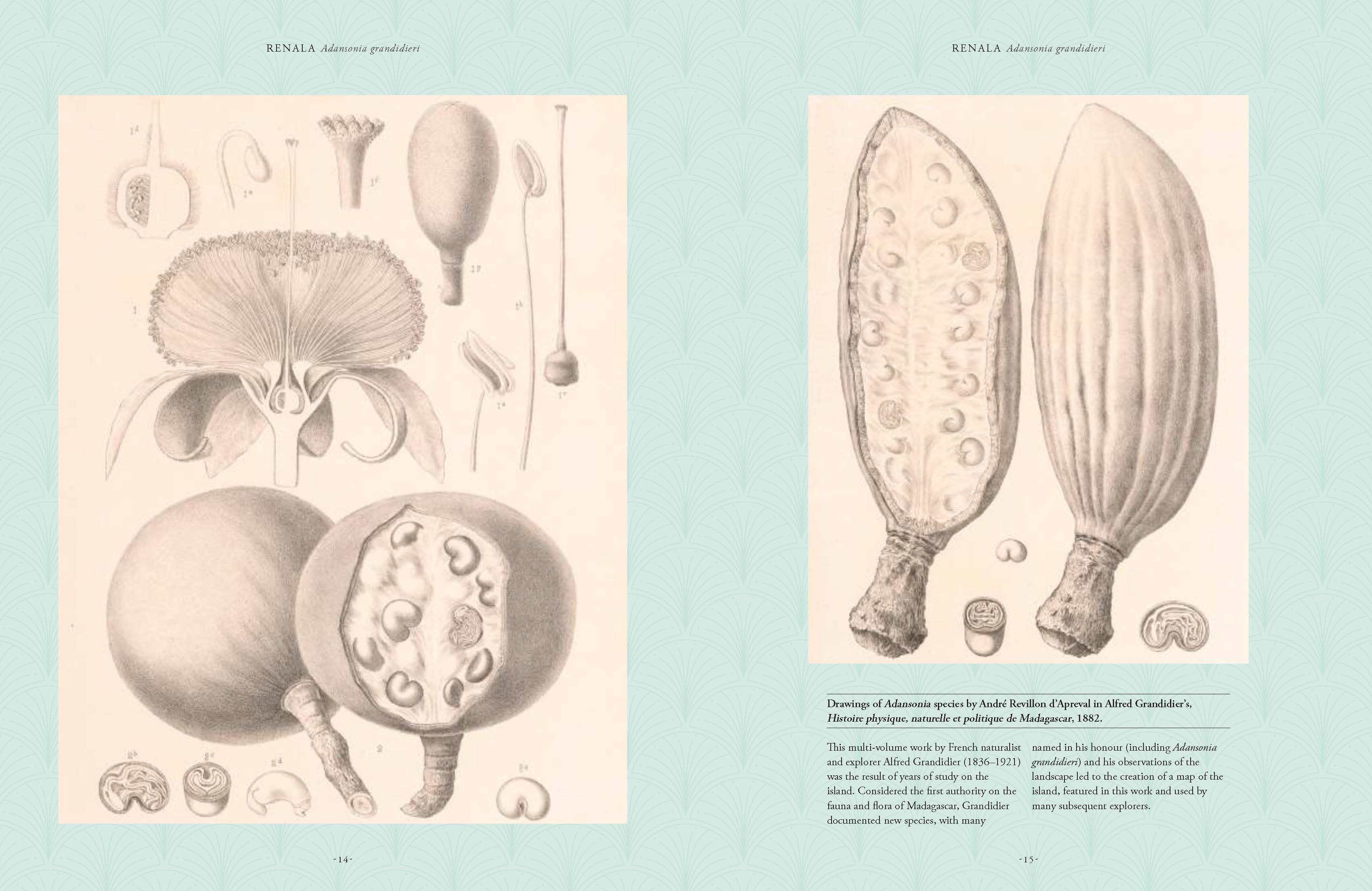 Kew - Rare Plants by Ed Ikin | The world's unusual and endangered ...