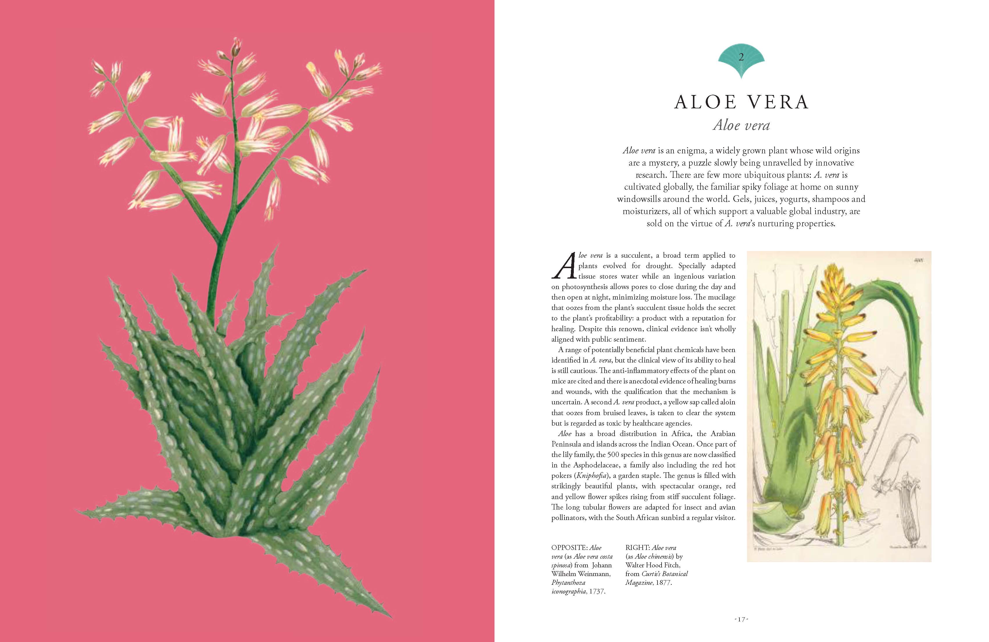 Kew - Rare Plants by Ed Ikin | The world's unusual and endangered ...