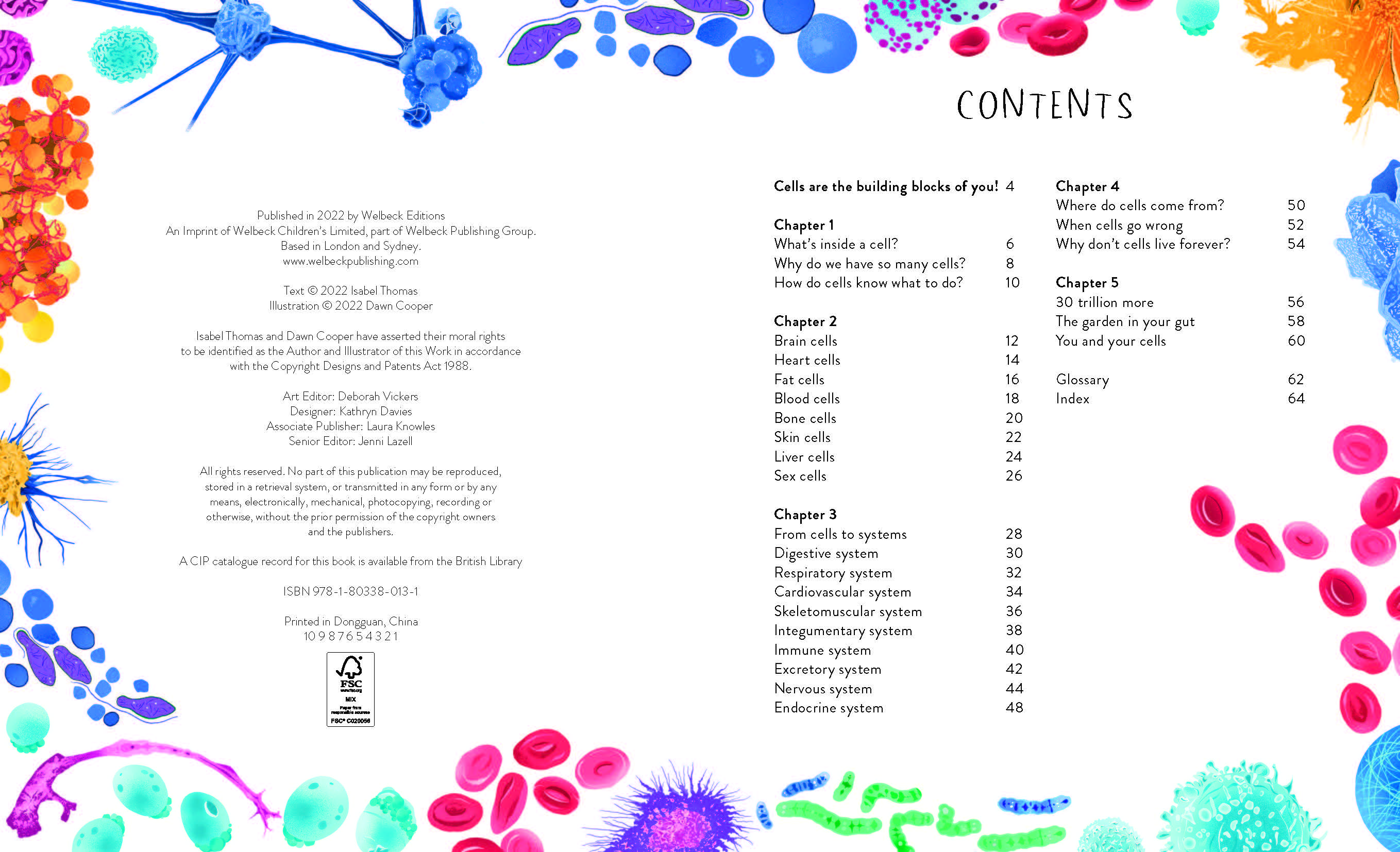 Thirty Trillion Cells, How Your Body Really Works by Isabel Thomas ...