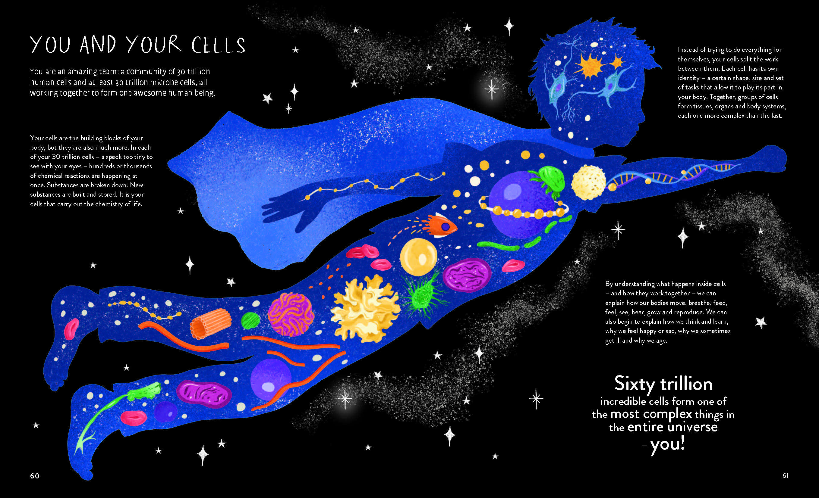 Thirty Trillion Cells, How Your Body Really Works by Isabel Thomas ...