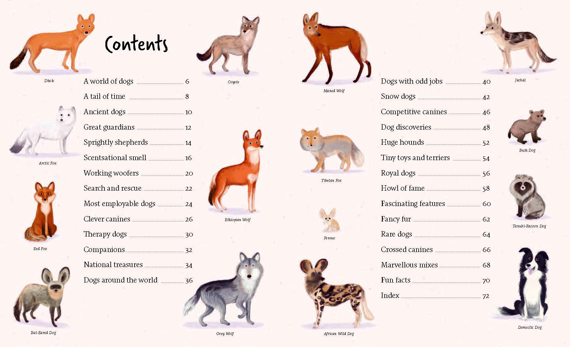 Around the World in 80 Dogs by Kristyna Litten | Around the World in 80 ...