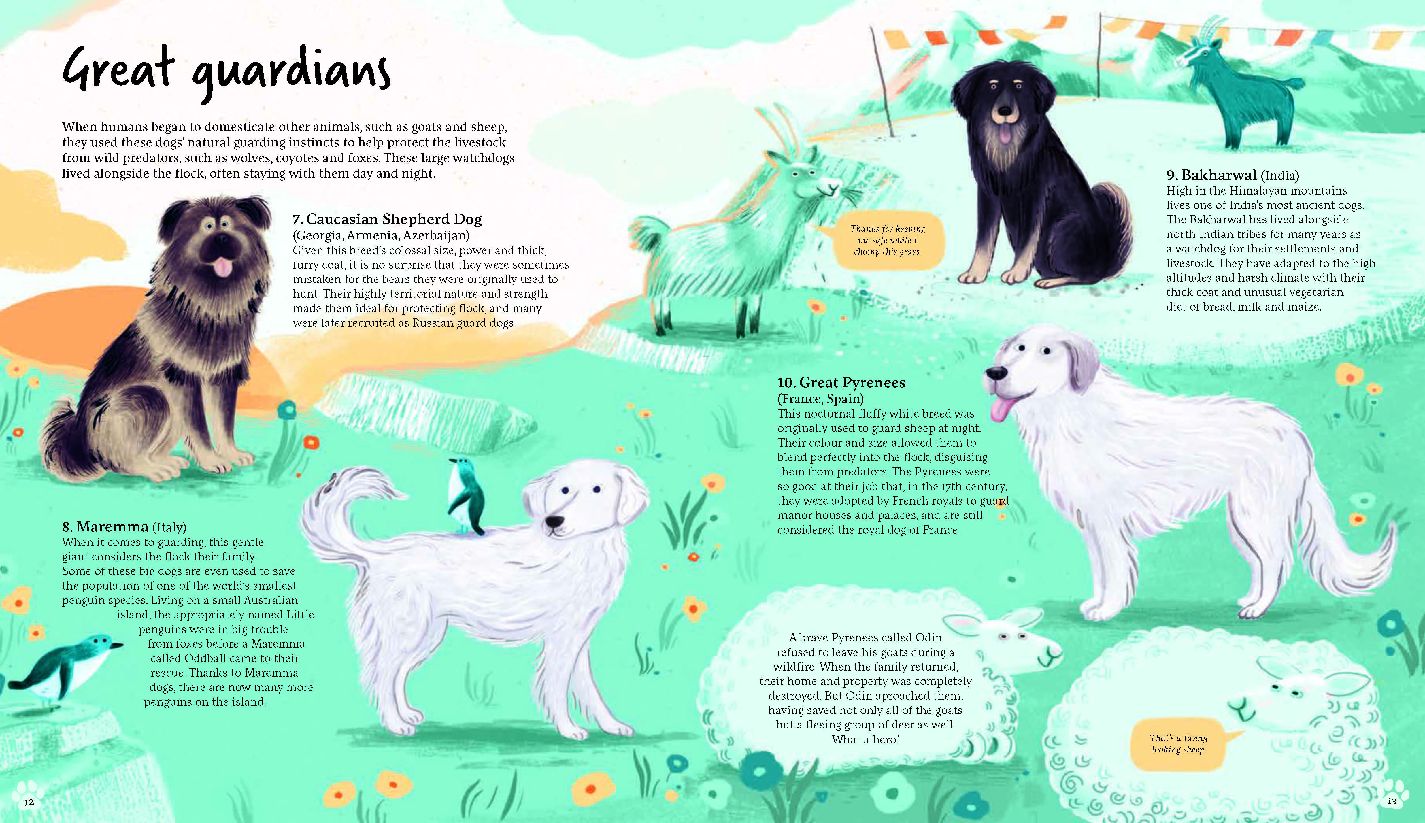 Around the World in 80 Dogs by Kristyna Litten | Around the World in 80 ...