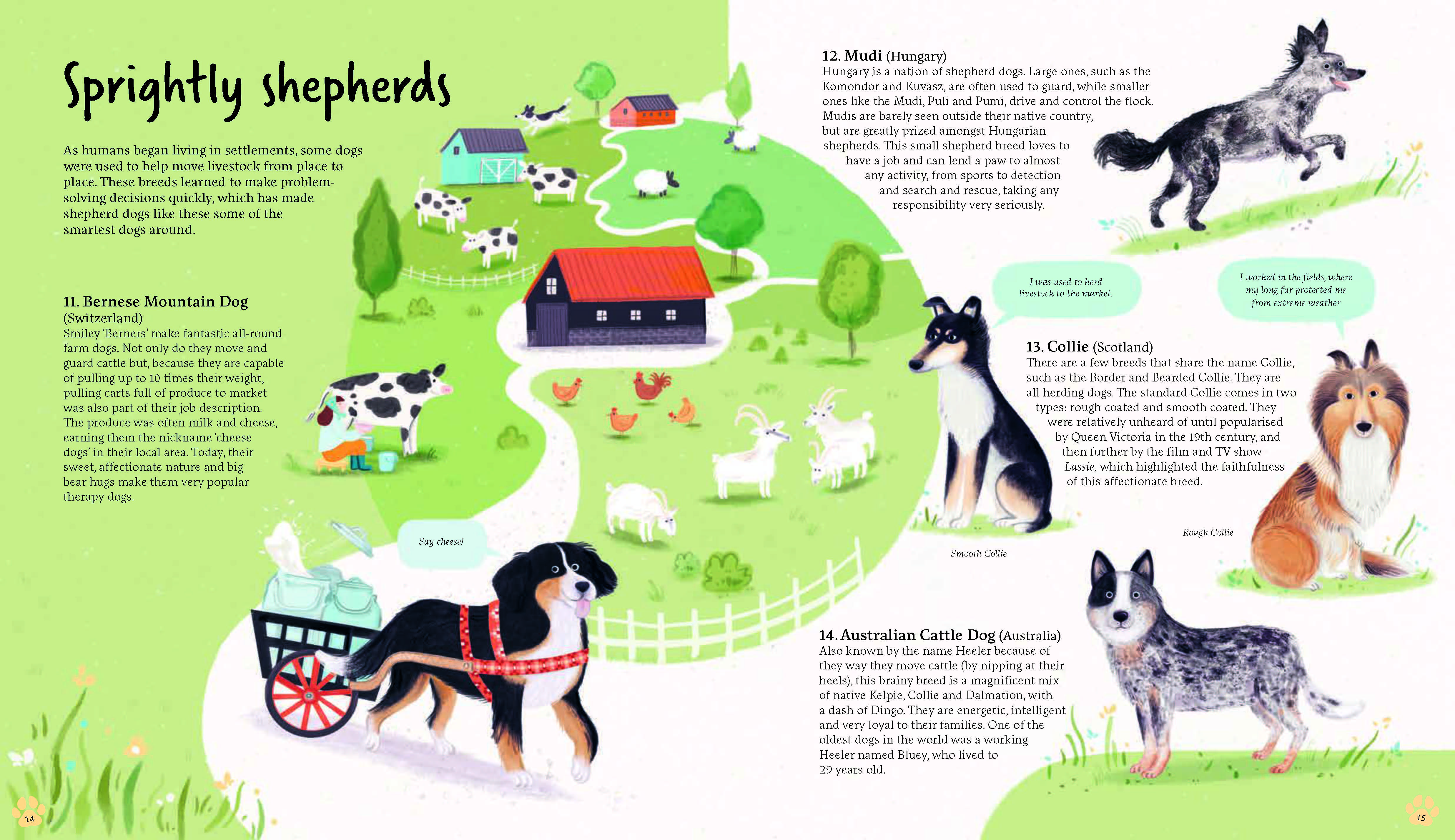 Around the World in 80 Dogs by Kristyna Litten | Around the World in 80 ...