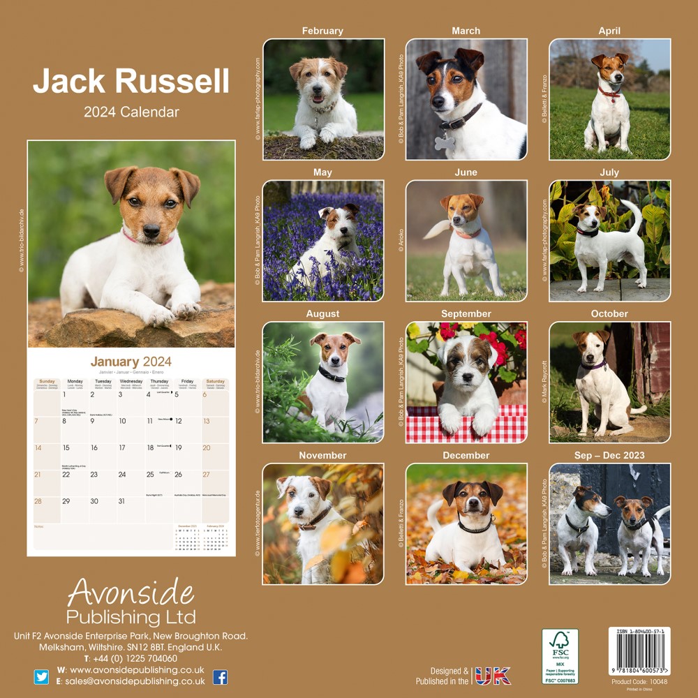 Jack Russell - 2024 Wall Calendar, 16-Month Dog Breed Wall Calendar by ...