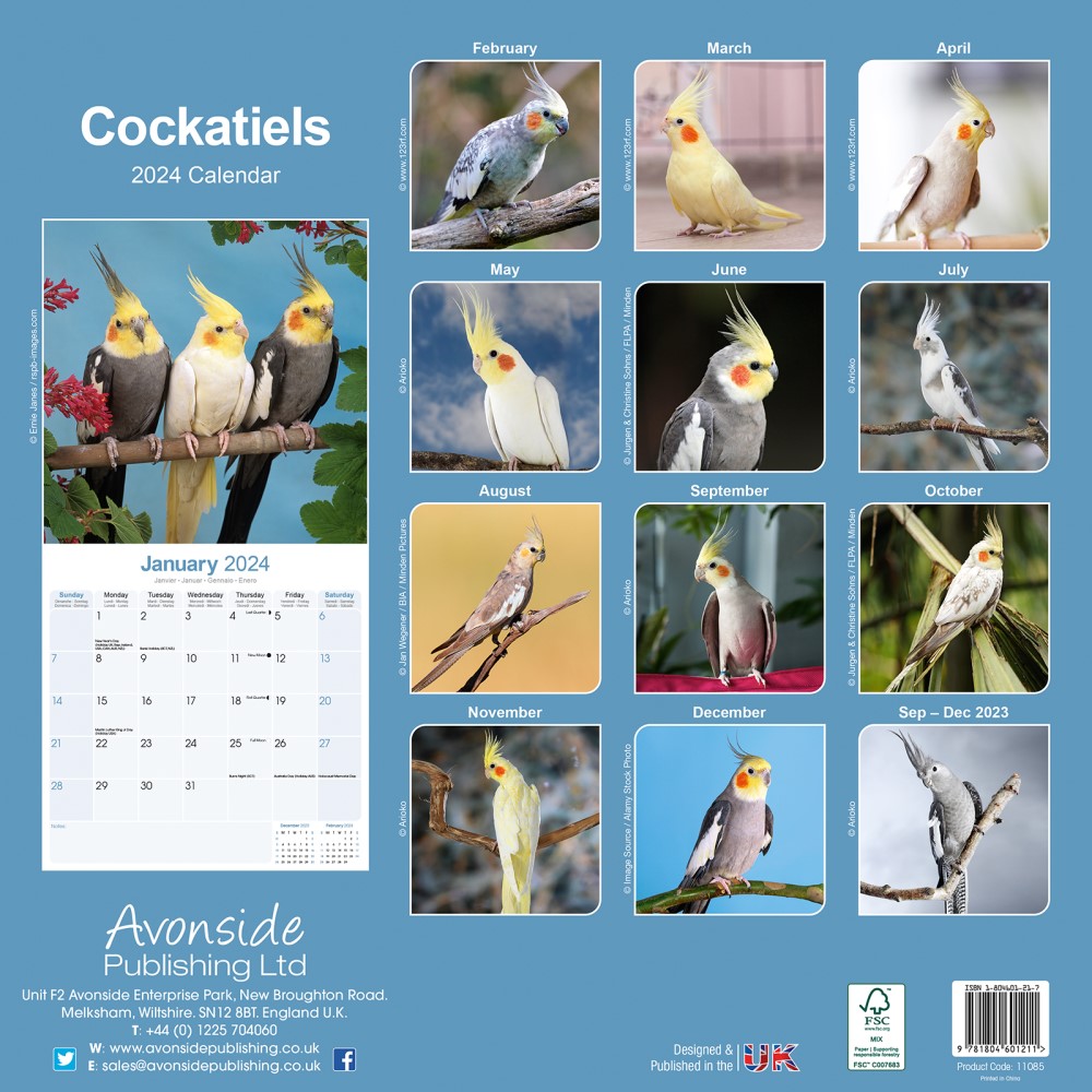 Cockatiels- 2024 Wall Calendar, 16-Month Bird Wall Calendar by Avonside ...