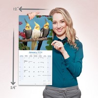 Cockatiels Calendar 2024 Square Bird Wall Calendar - 16 Month by ...