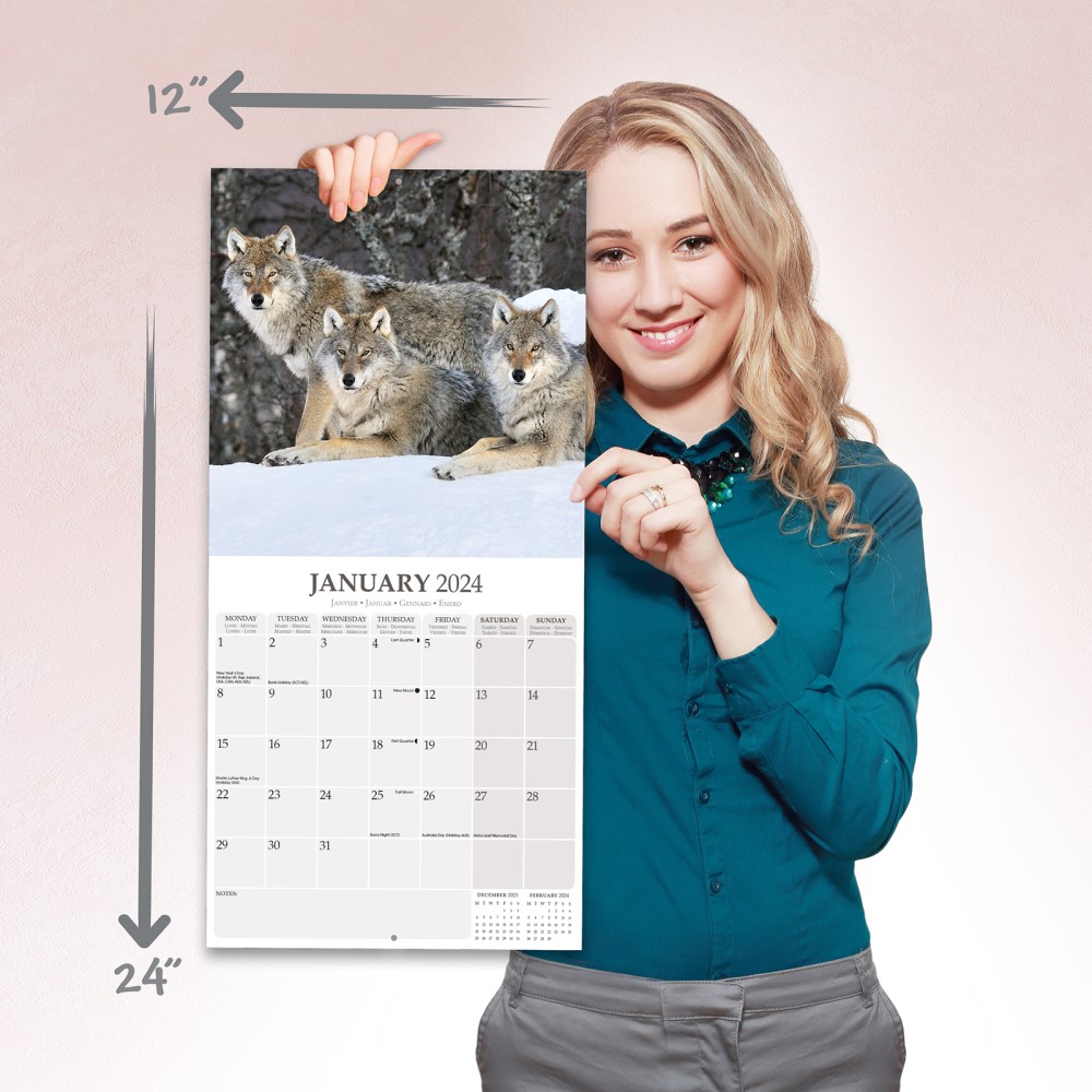 Wolves - 2024 Wall Calendar, 16-Month Animal Wall Calendar by Avonside ...