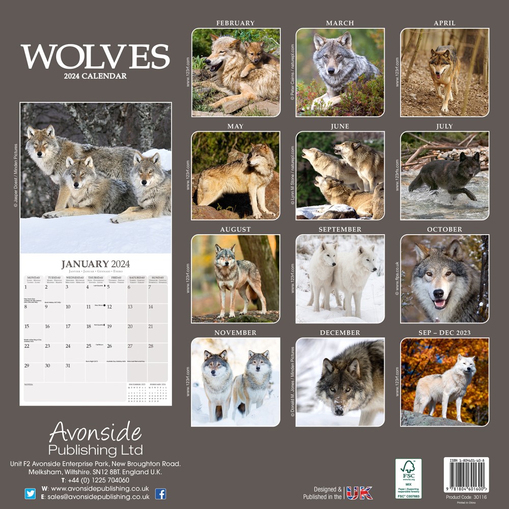 Wolves - 2024 Wall Calendar, 16-Month Animal Wall Calendar by Avonside ...
