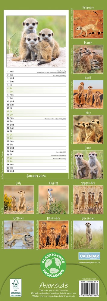 Meerkats - 2024 Slim Wall Calendar, 12-Month Cute Slimline Wall ...