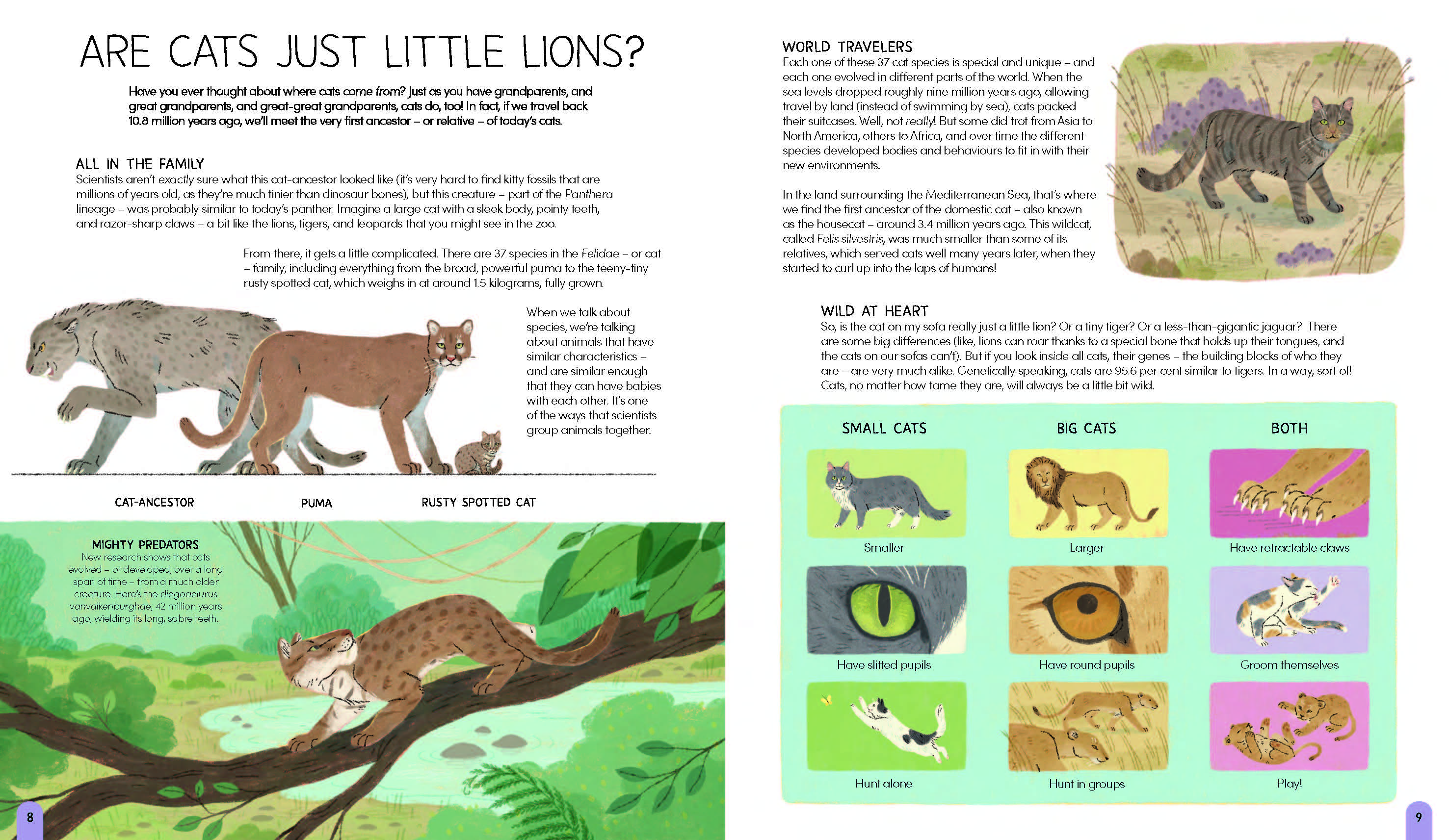 A World of Cats by Carlie Sorosiak | A Celebration of Fascinating Facts ...