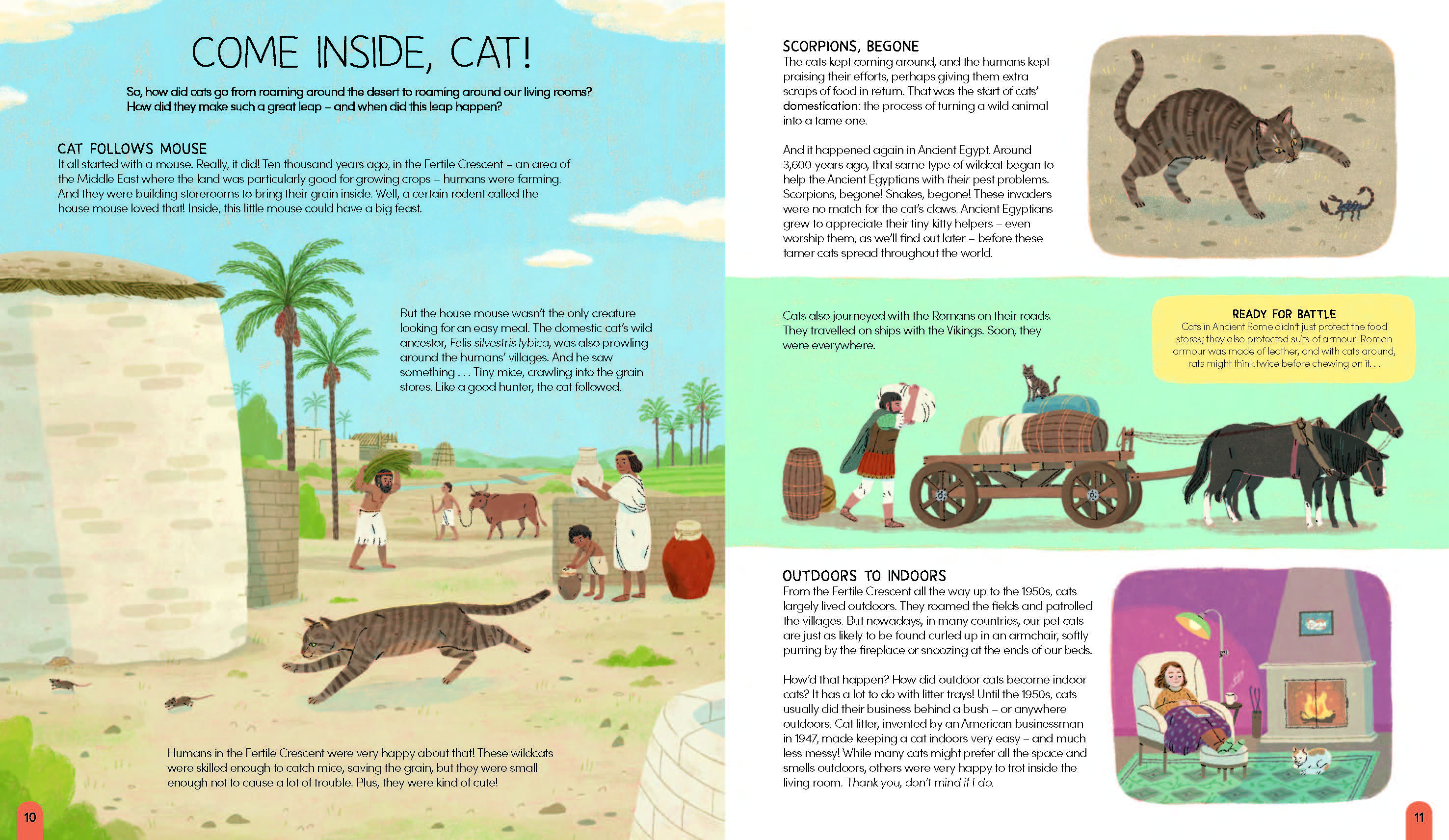 A World of Cats by Carlie Sorosiak | A Celebration of Fascinating Facts ...