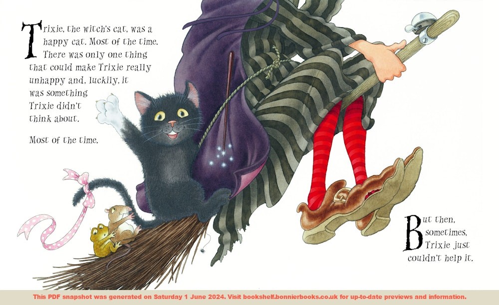 Trixie the Witch's Cat by Nick Butterworth | 9781835870389 | Booktopia