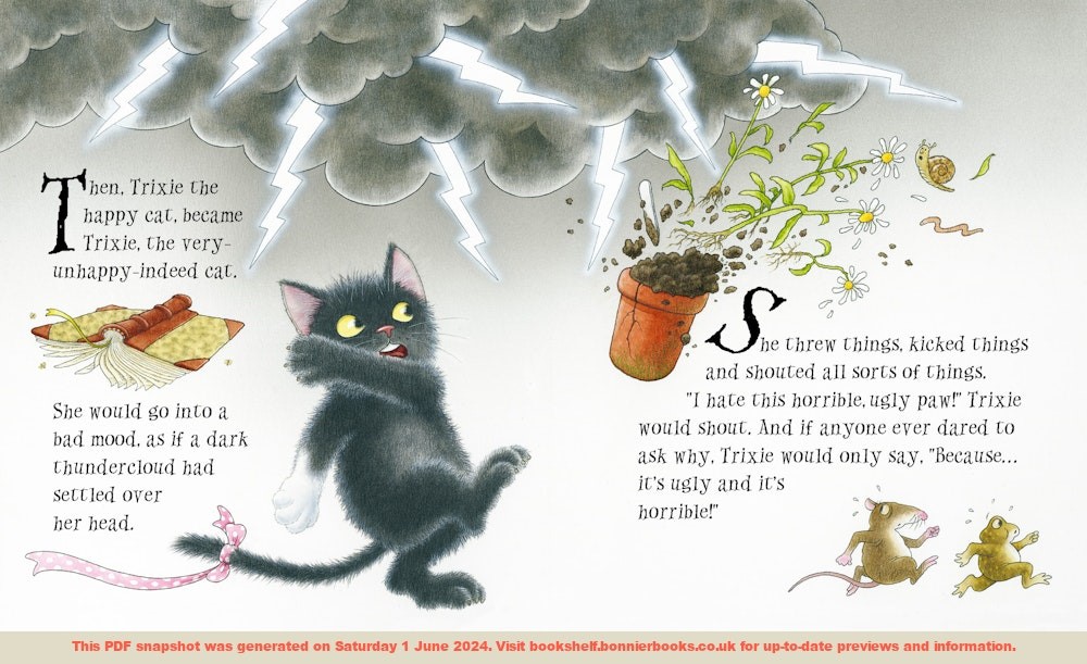 Trixie the Witch's Cat by Nick Butterworth | 9781835870389 | Booktopia