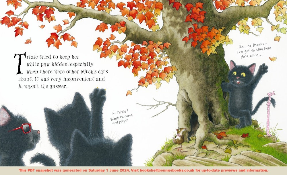 Trixie the Witch's Cat by Nick Butterworth | 9781835870389 | Booktopia