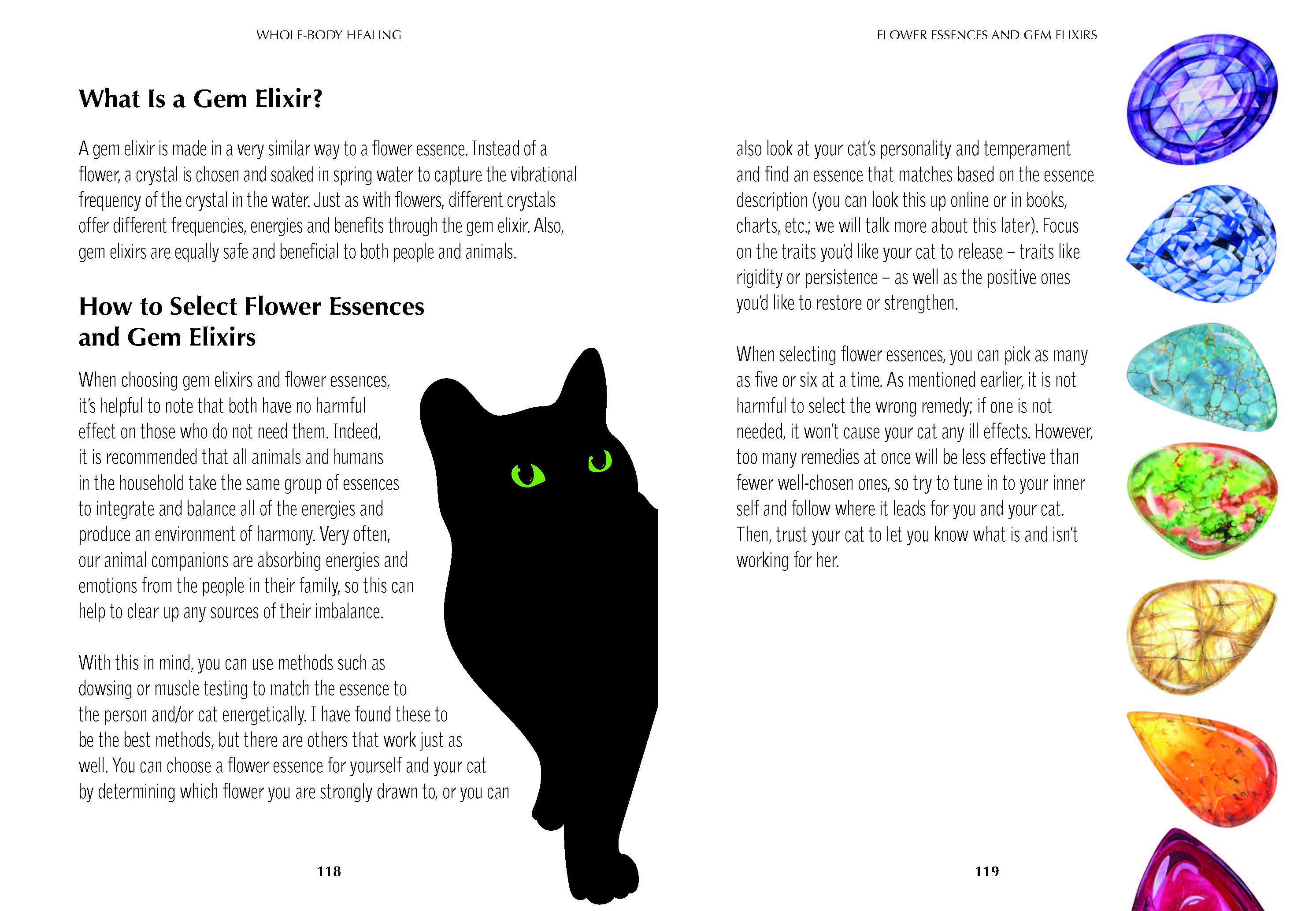 Chakra Healing for Cats, Energy Work for a Happy and Healthy Feline ...