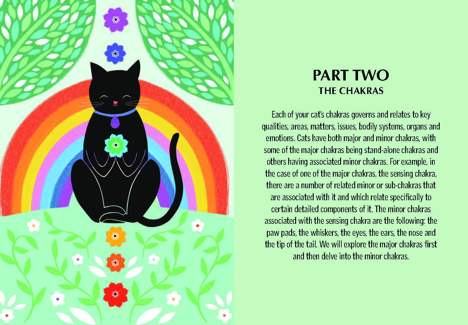 Chakra Healing for Cats, Energy Work for a Happy and Healthy Feline ...