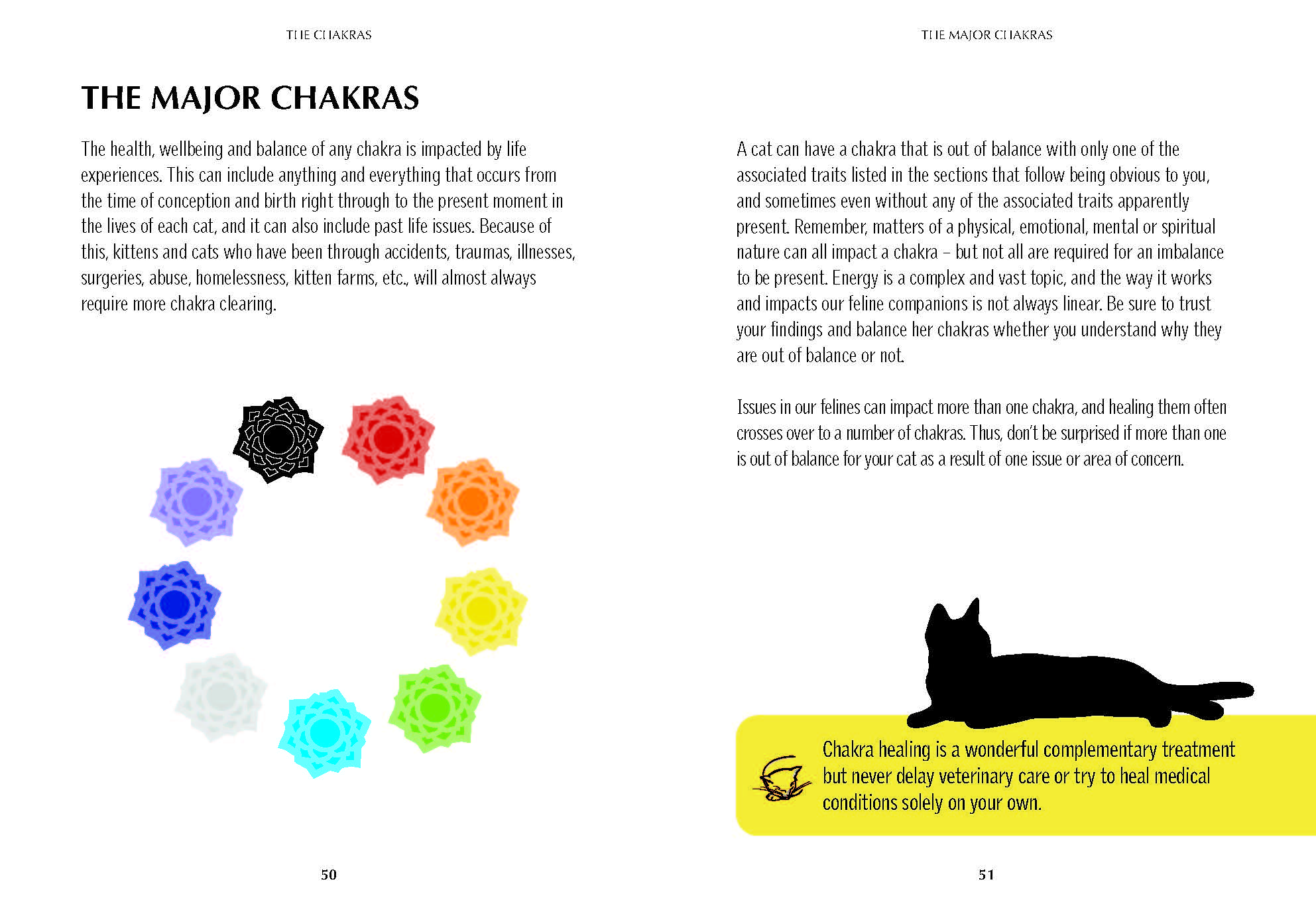 Chakra Healing for Cats, Energy Work for a Happy and Healthy Feline ...
