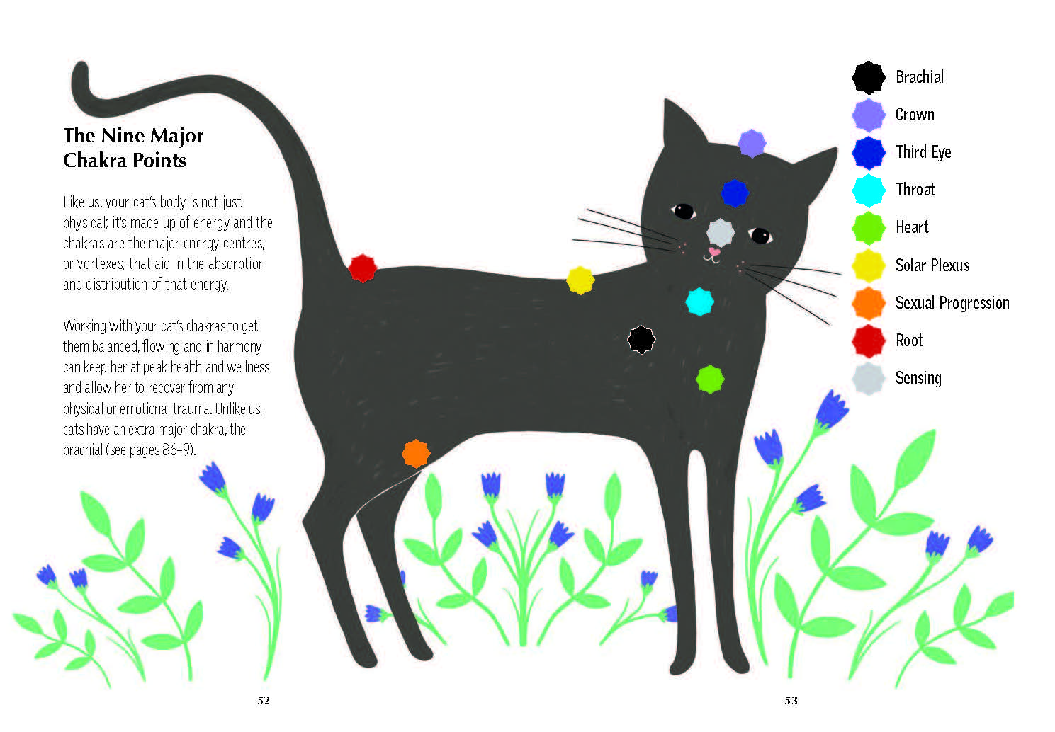 Chakra Healing for Cats, Energy Work for a Happy and Healthy Feline ...
