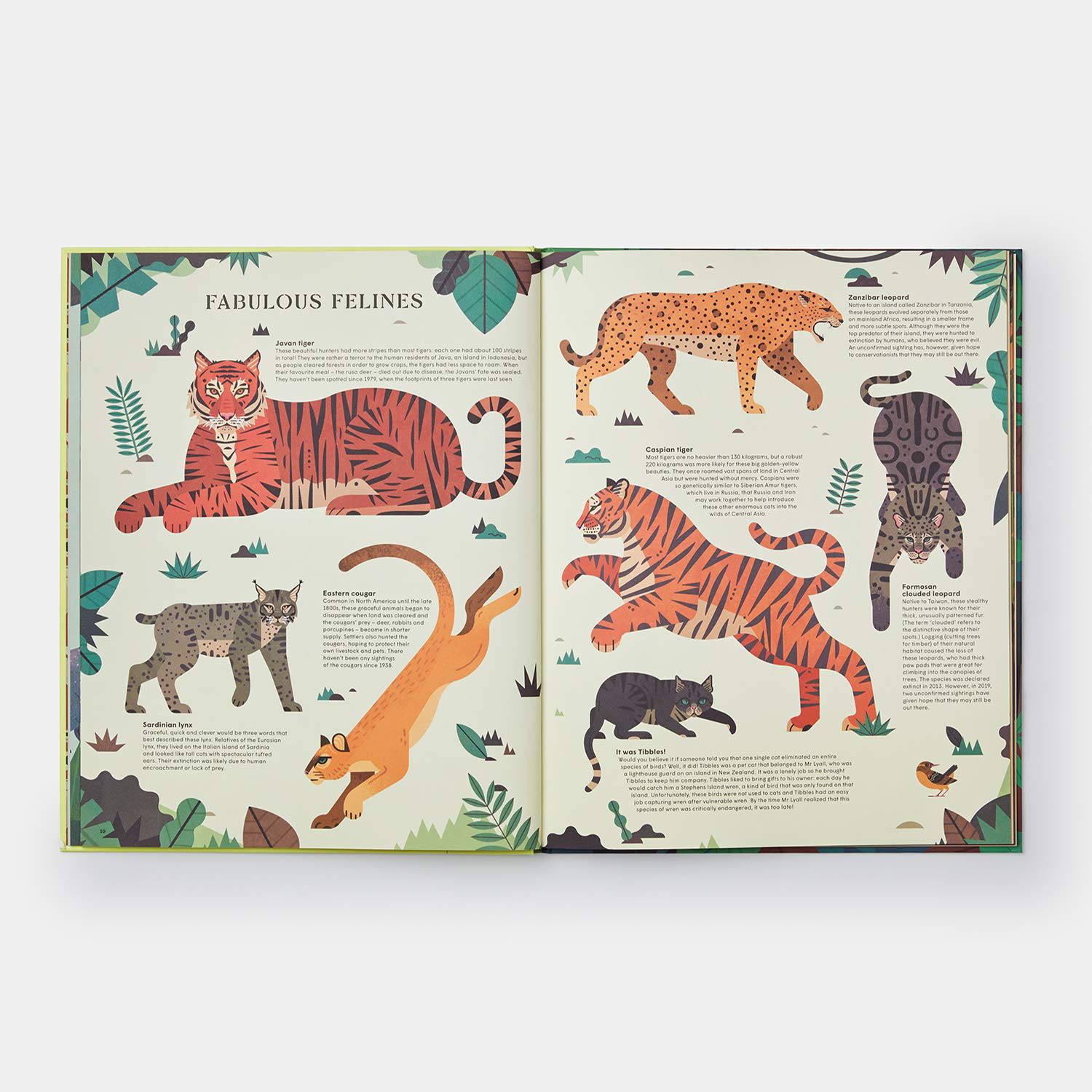 Extinct, An Illustrated Exploration of Animals That Have Disappeared by ...