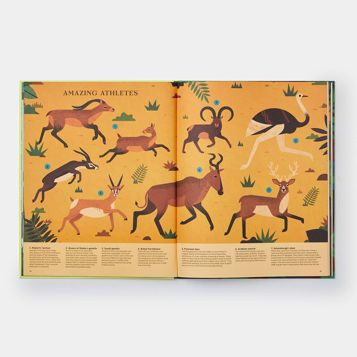 Extinct, An Illustrated Exploration of Animals That Have Disappeared by ...