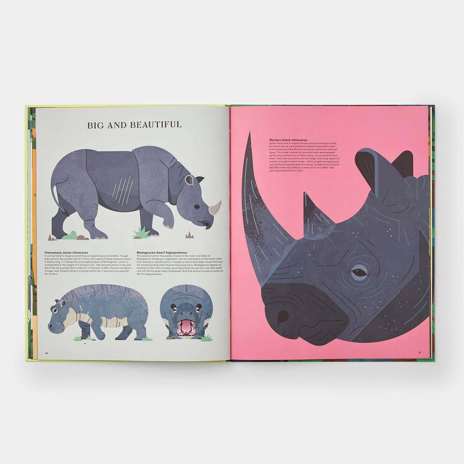 Extinct, An Illustrated Exploration of Animals That Have Disappeared by ...