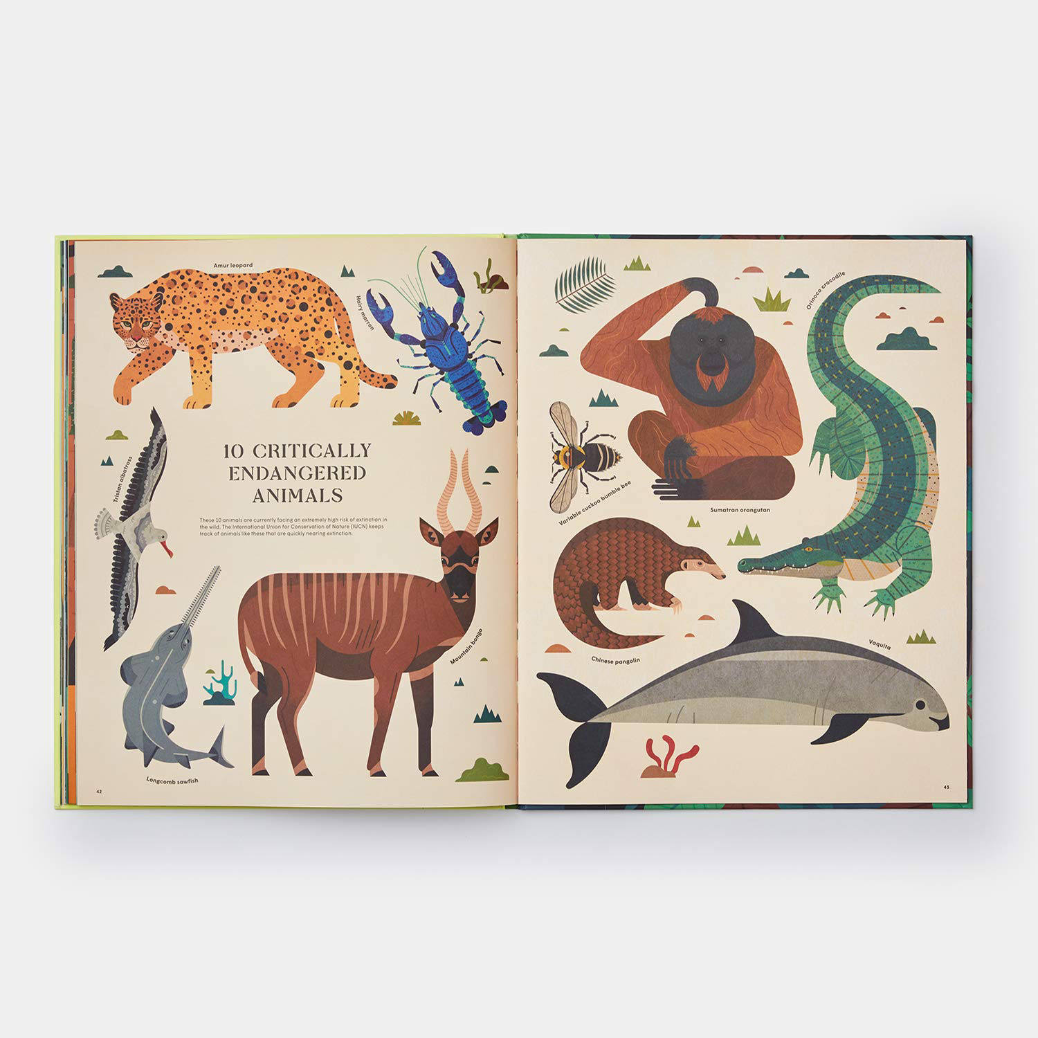 Extinct, An Illustrated Exploration of Animals That Have Disappeared by ...
