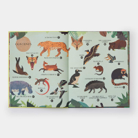 Extinct, An Illustrated Exploration of Animals That Have Disappeared by ...