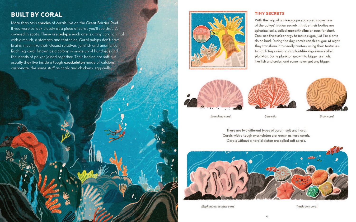 The Great Barrier Reef, The Great Barrier Reef by Helen Scales ...