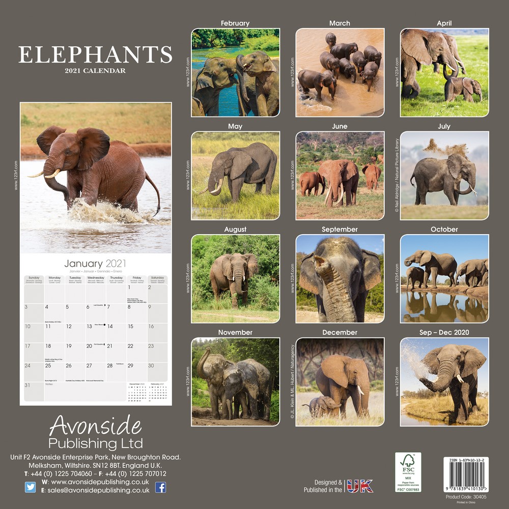 Elephants - 2021 Wall Calendar, 16-Month Wall Calendar - September 2020 ...