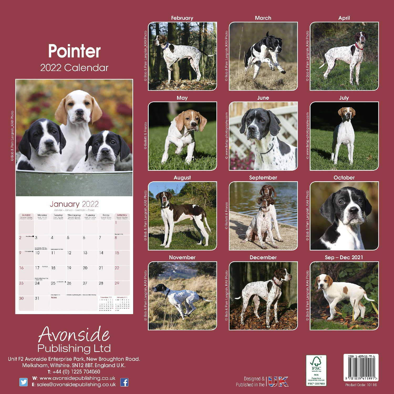 Pointer - 2022 Wall Calendar by Avonside Publishing Ltd | 9781839411991 ...