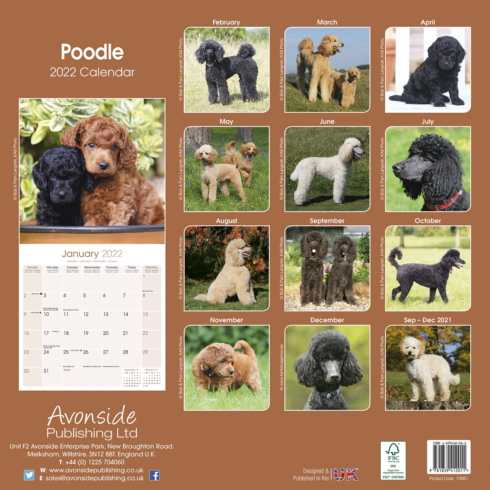 Poodle - 2022 Wall Calendar, Dog Breed Wall Calendar by Avonside ...