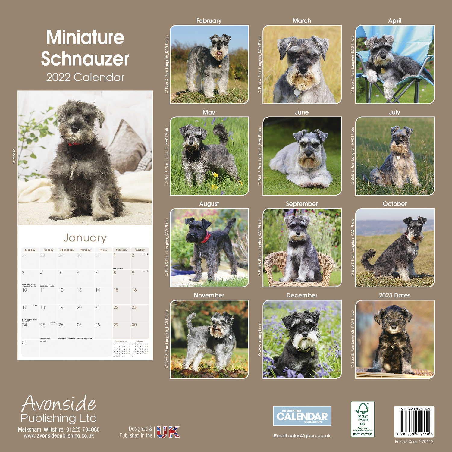 Miniature Schnauzer - 2022 Wall Calendar, Dog Breed Wall Calendar by ...