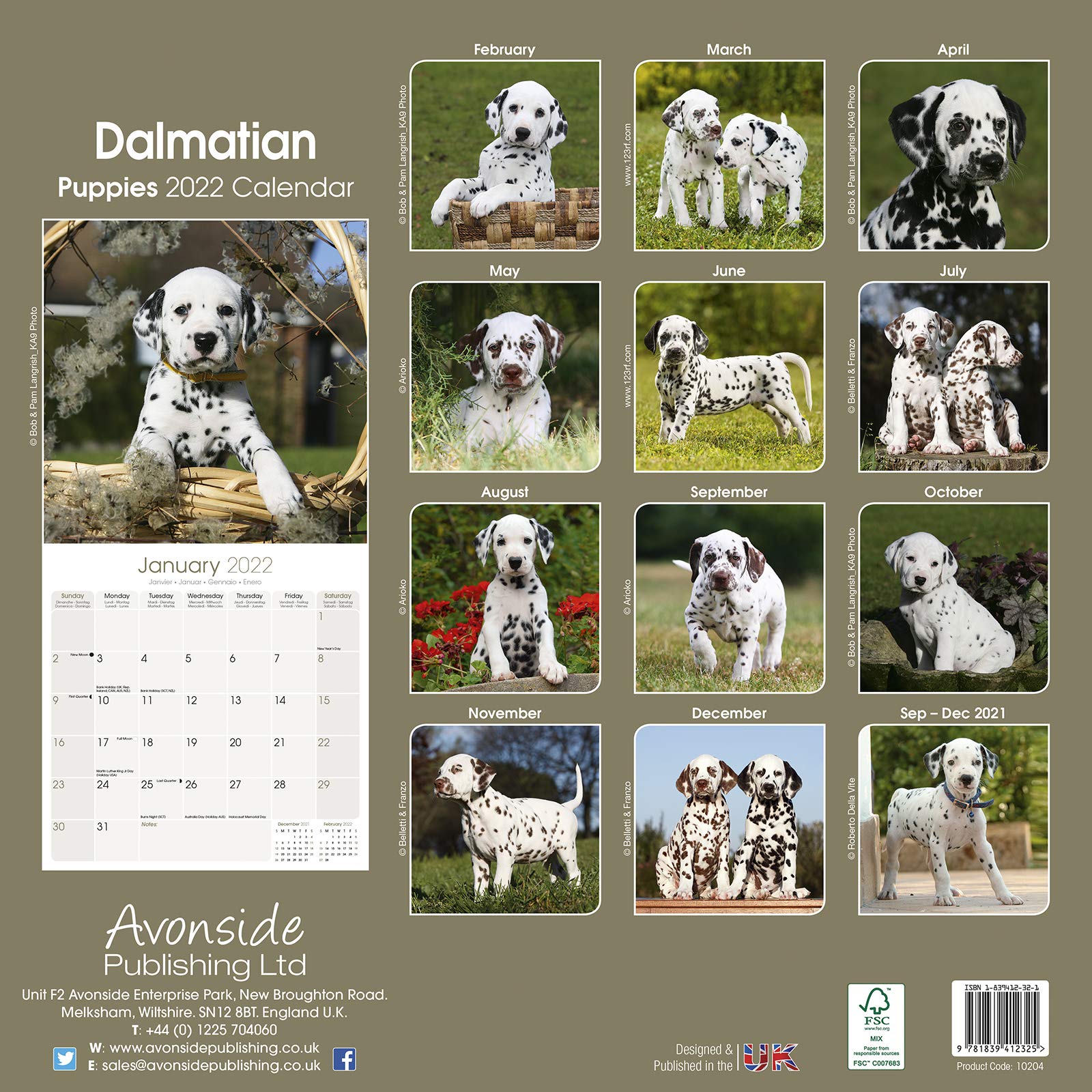 Dalmatian Puppies - 2022 Wall Calendar by Avonside Publishing Ltd ...