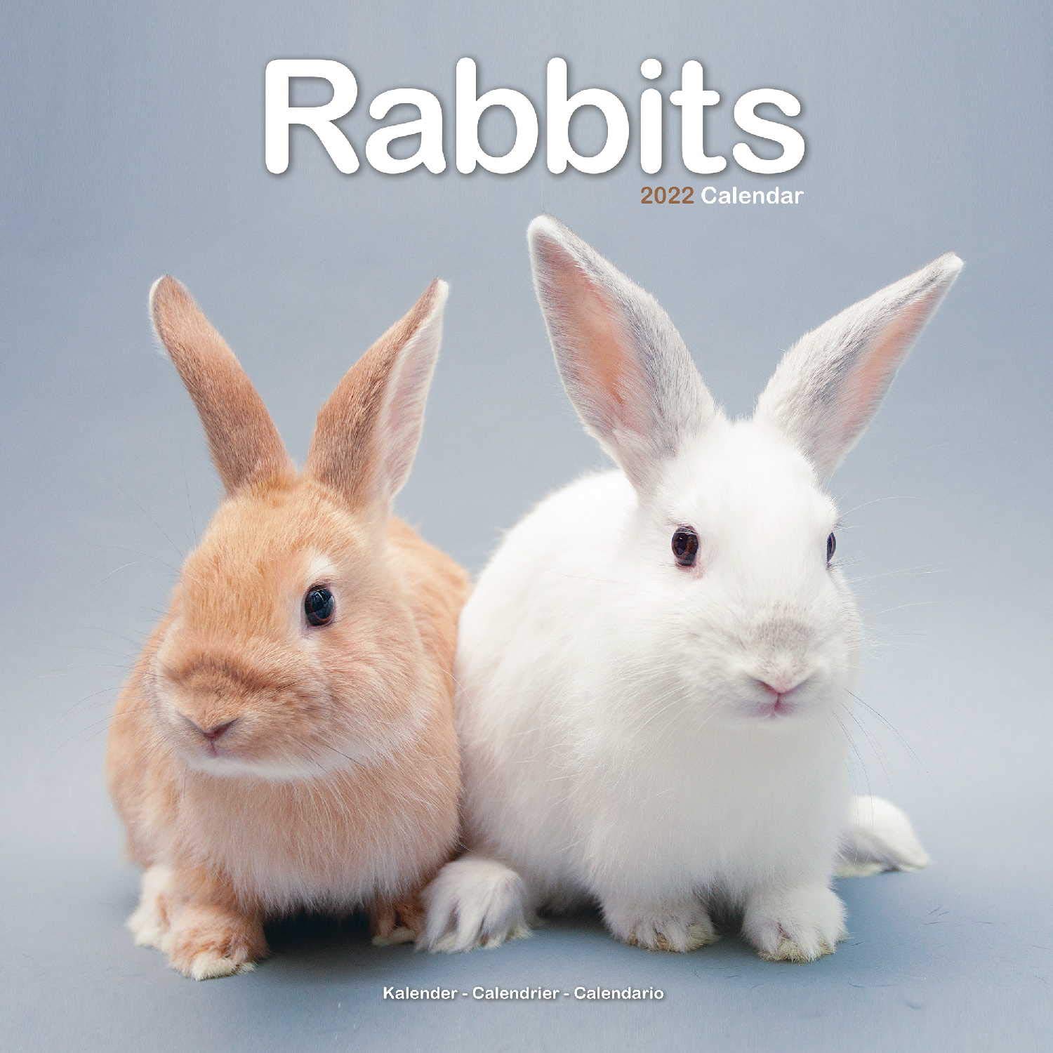 Rabbits - 2022 Wall Calendar by Avonside Publishing Ltd | 9781839412769 ...
