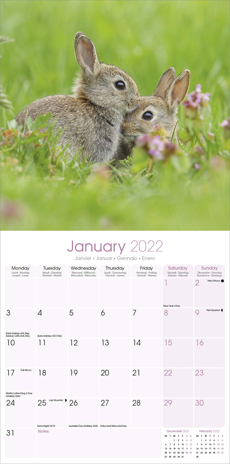 Rabbits - 2022 Wall Calendar by Avonside Publishing Ltd | 9781839412769 ...
