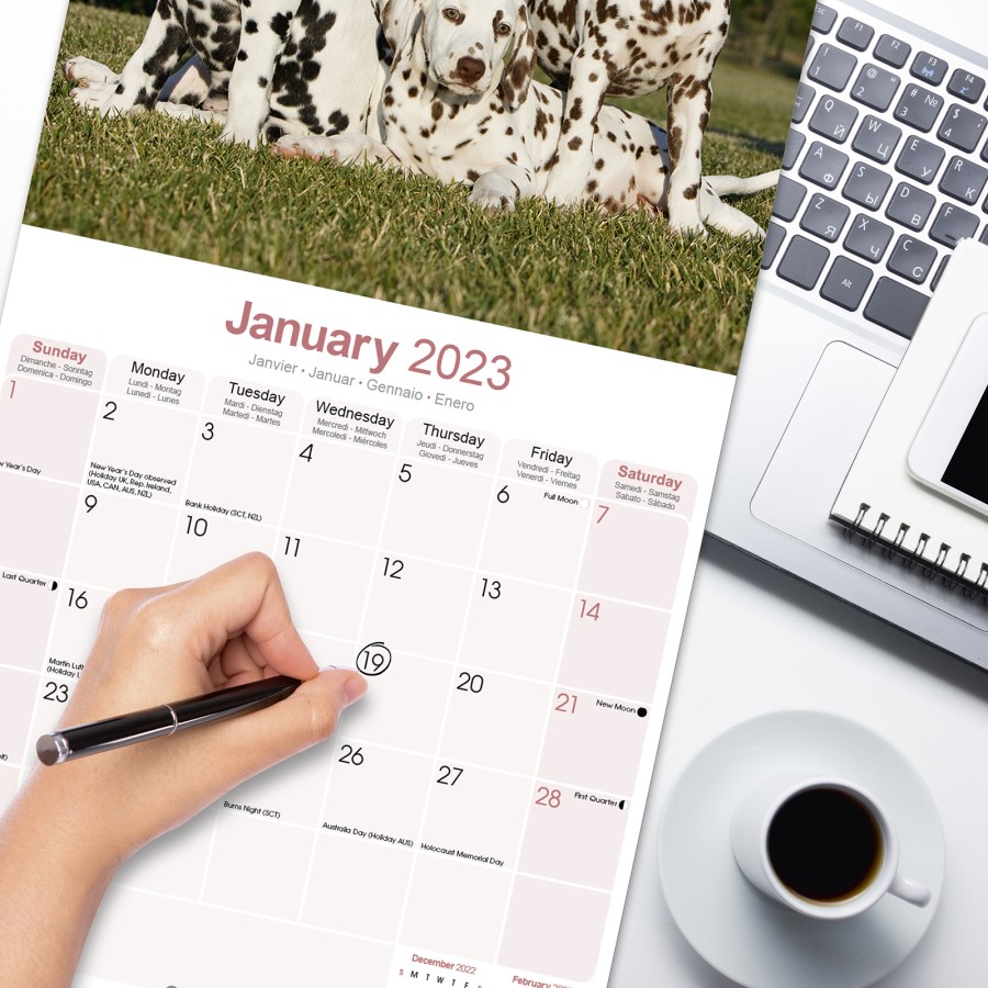 Dalmatian - 2023 Wall Calendar, Dog Breed Calendar - 16 Month by ...