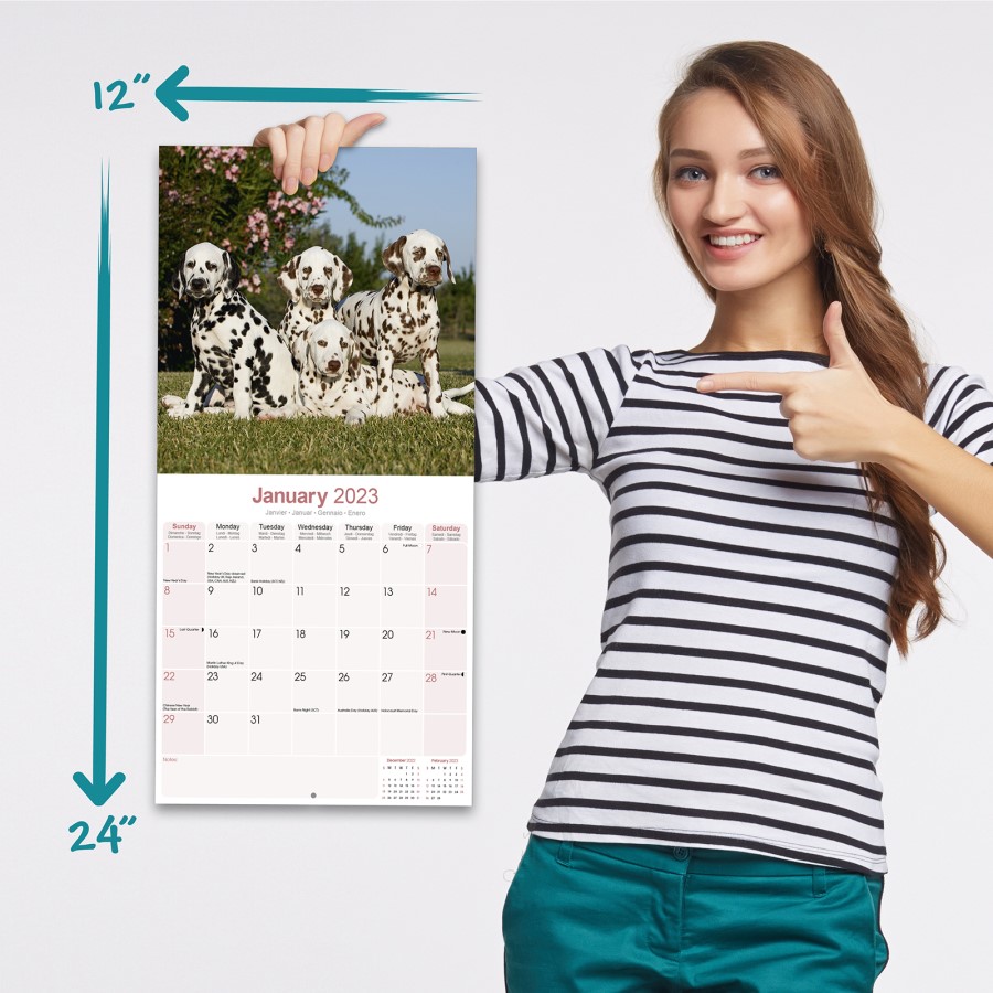 Dalmatian - 2023 Wall Calendar, Dog Breed Calendar - 16 Month by ...