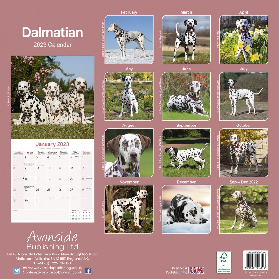 Dalmatian - 2023 Wall Calendar, Dog Breed Calendar - 16 Month by ...