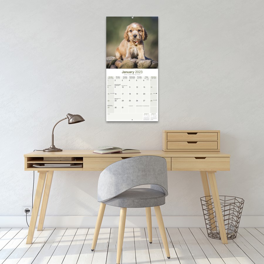 English Cocker Spaniel - 2023 Wall Calendar, Dog Breed Calendar - 16 ...