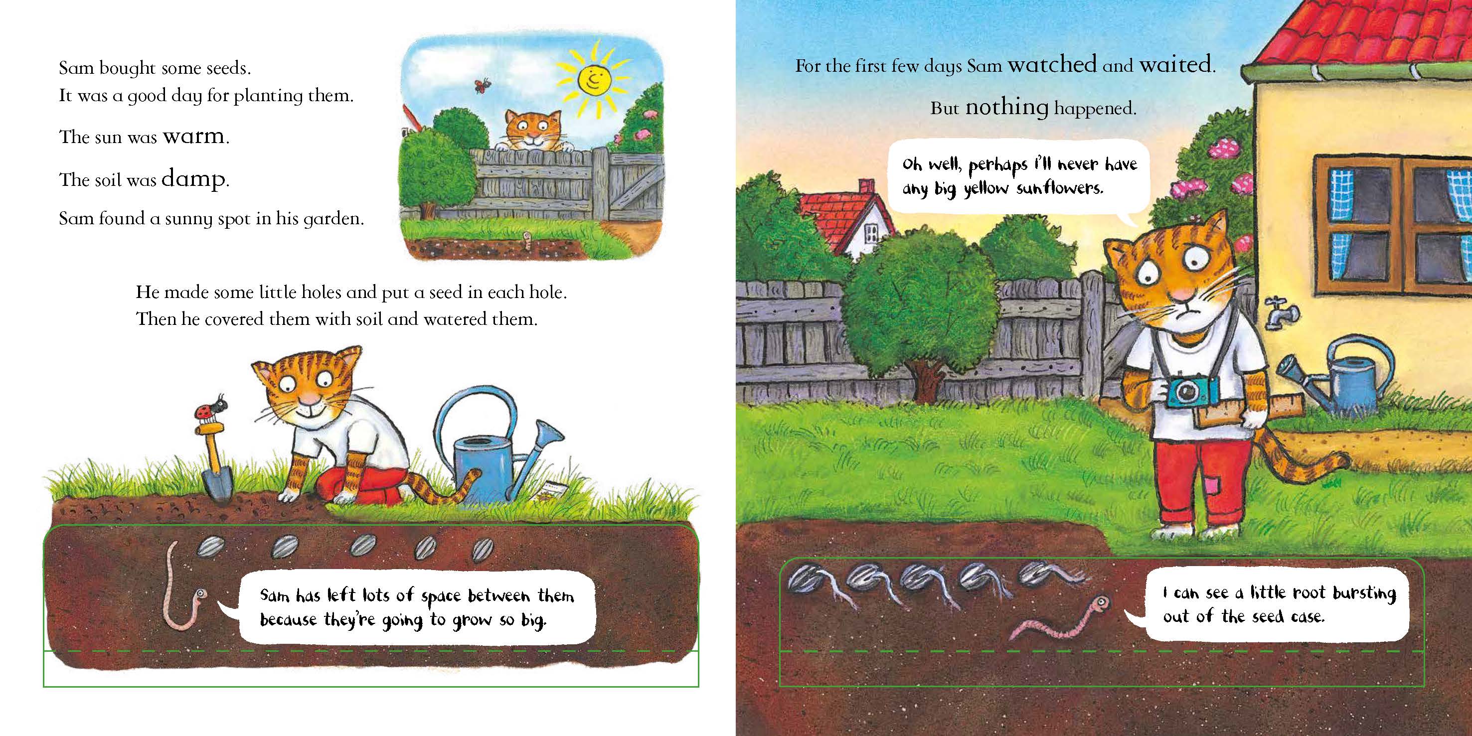 Sam Plants a Sunflower by Axel Scheffler | 9781839941733 | Booktopia