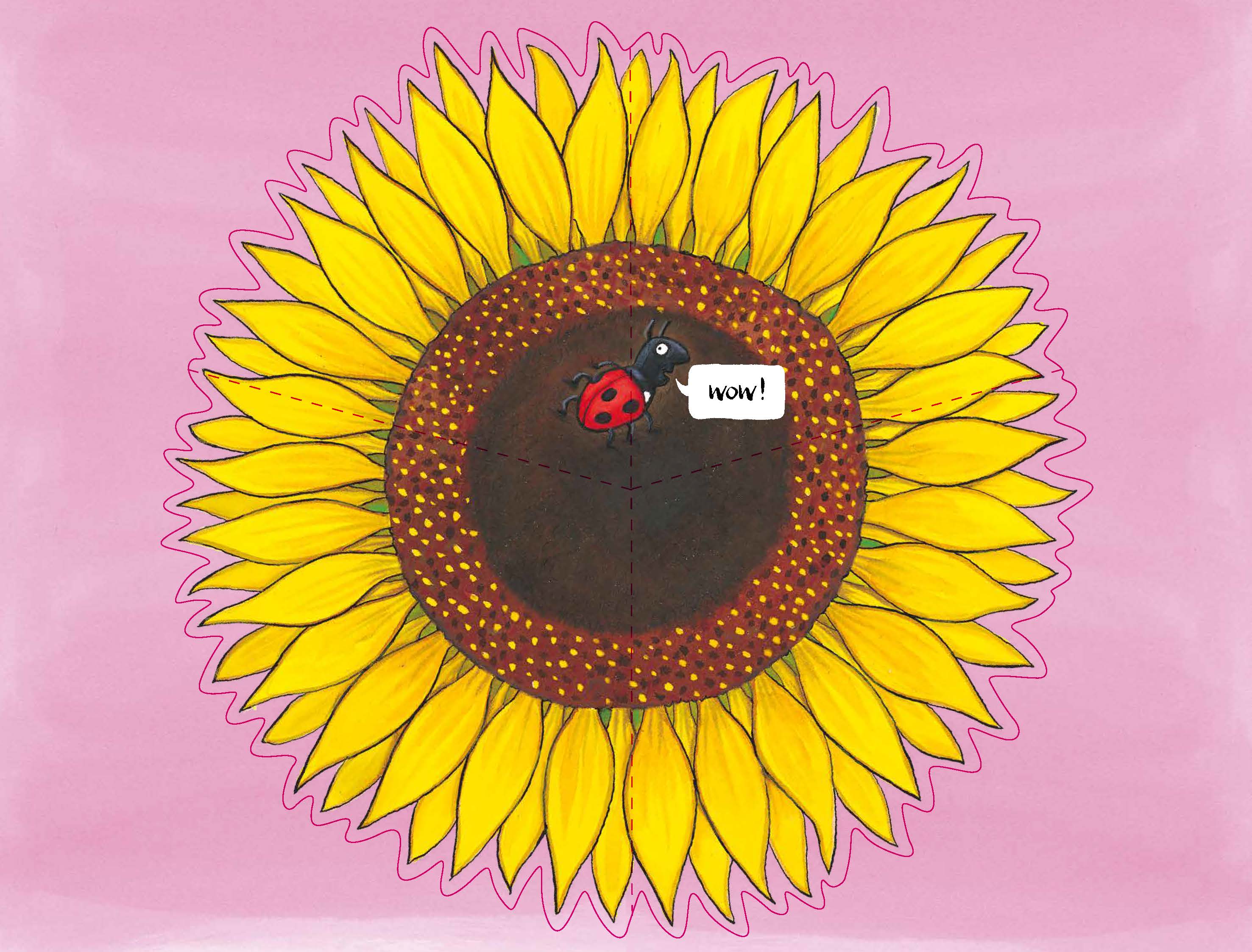 Sam Plants a Sunflower by Axel Scheffler | 9781839941733 | Booktopia