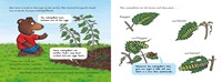 Ben Plants a Butterfly Garden (National Trust) by Kate Petty | Ben ...