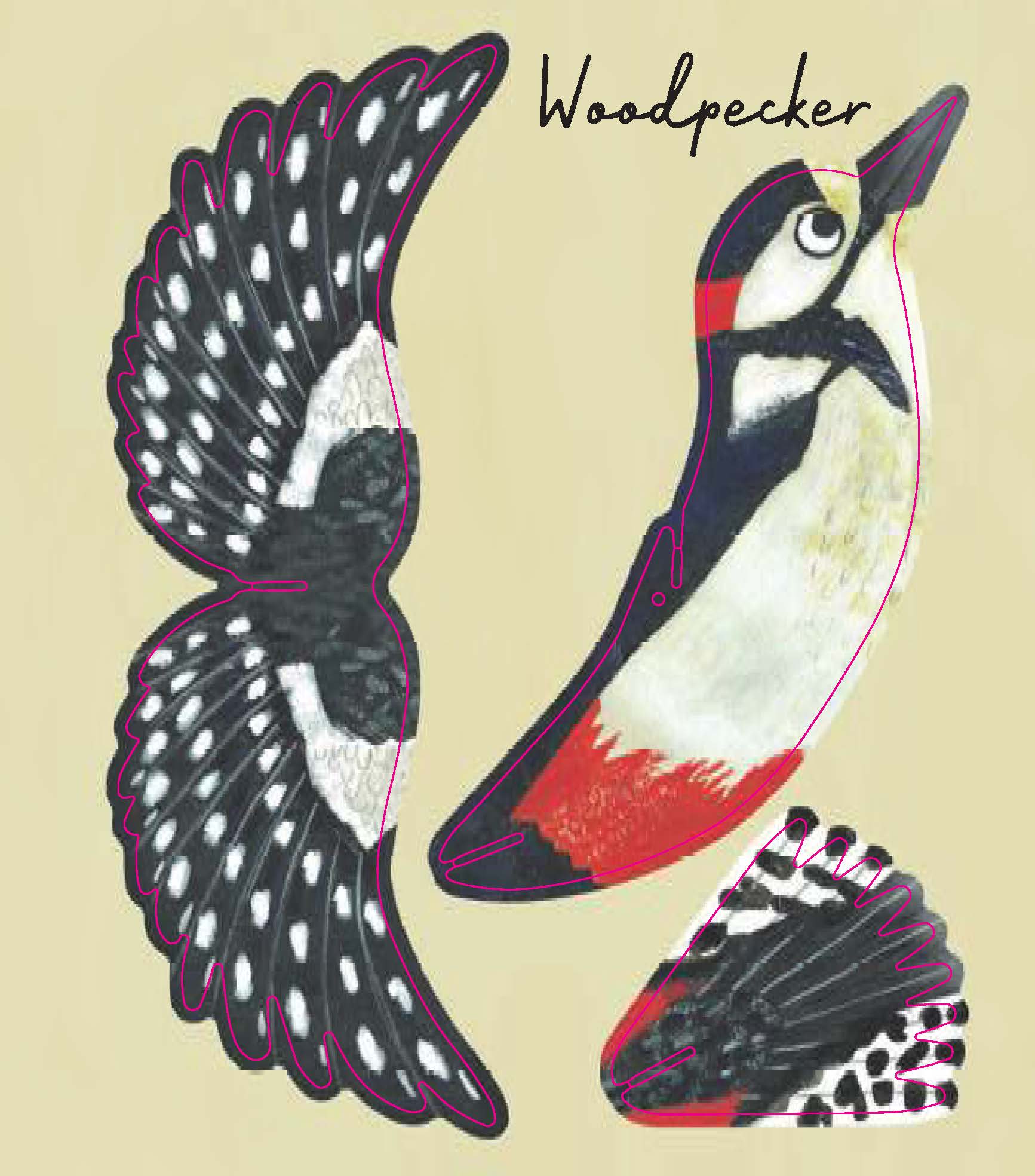 Birds of a Feather by Kate Read | Press out and learn about 10 ...