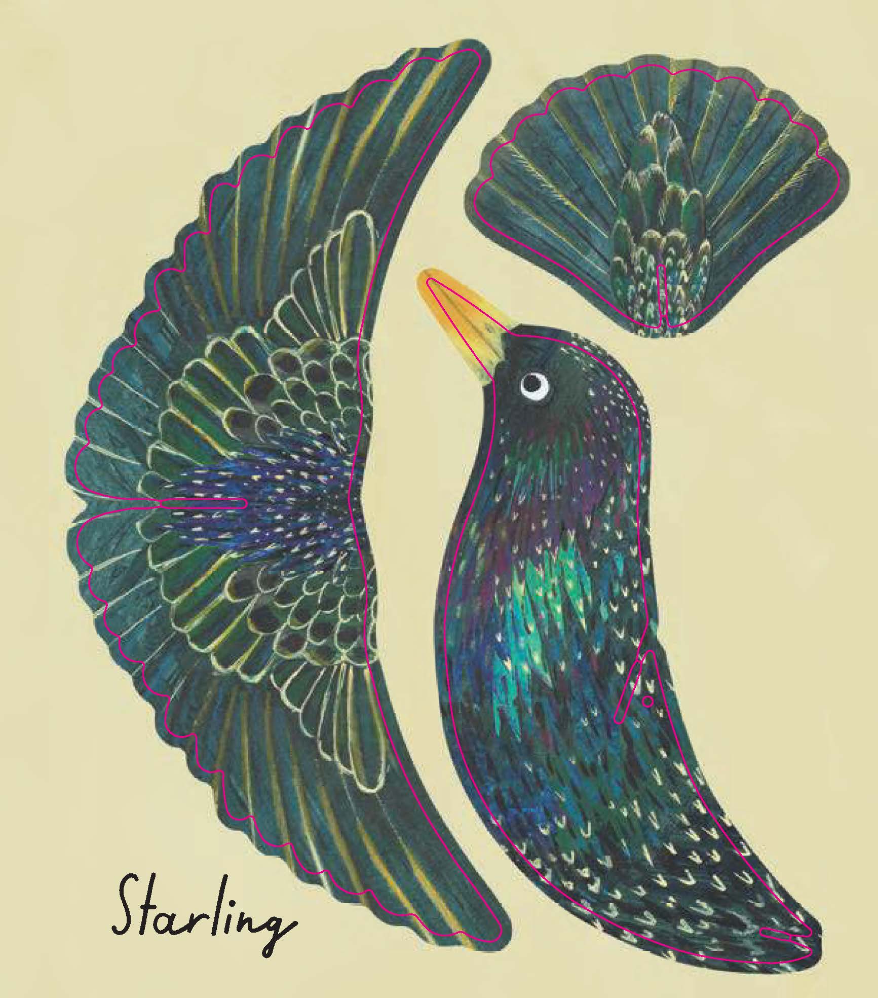 Birds of a Feather by Kate Read | Press out and learn about 10 ...