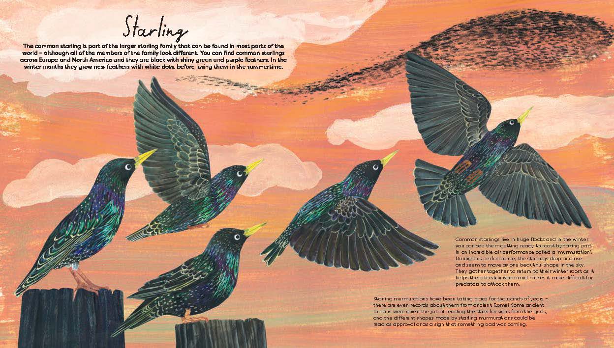 Birds of a Feather by Kate Read | Press out and learn about 10 ...